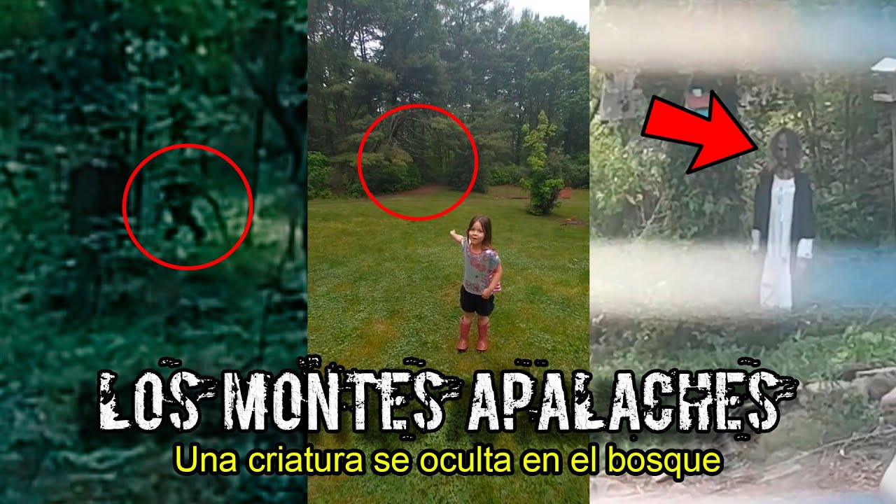 ALERTA por Avistamientos de CRIATURAS EXTRAÑAS en los BOSQUES de ...