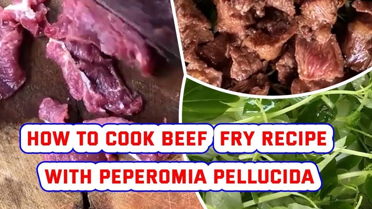how to cook Beef fry recipe with Peperomia pellucida - YouTube
