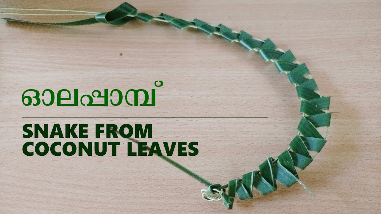 Snake Made From Coconut Leaves | ഓലപ്പാമ്പ് - YouTube