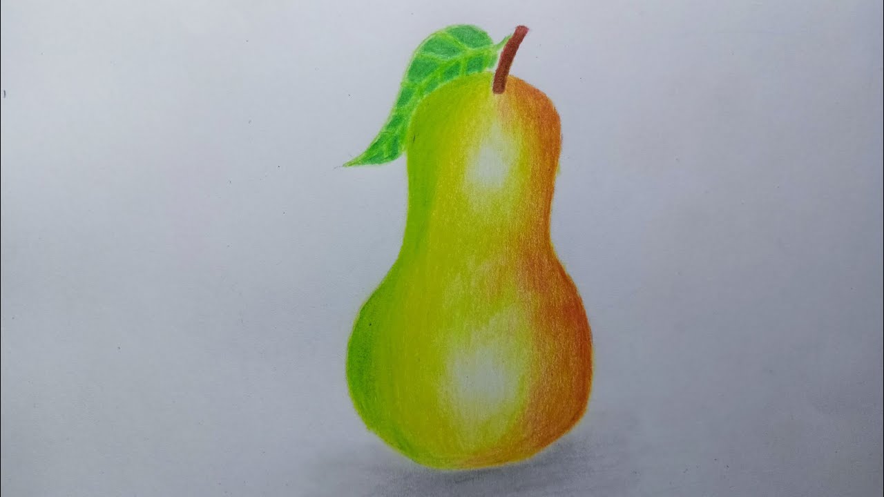 How to draw pear fruit with color pencil Sketch | Realistic Pear Fruit ...