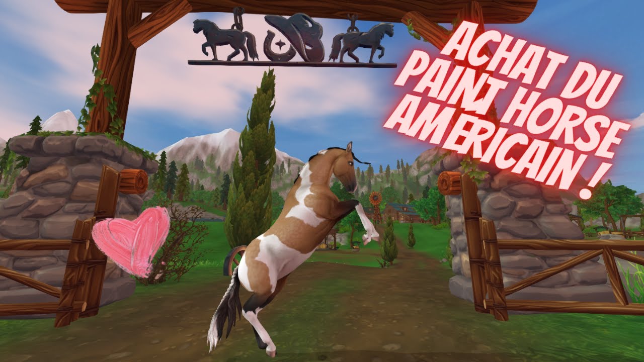 Achat du Paint Horse Américain ! - Sso - YouTube