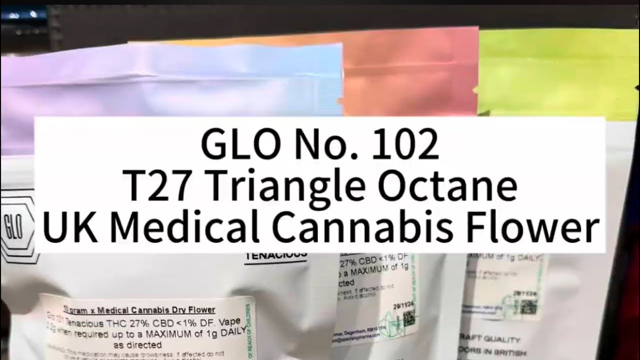 GLO No.2 T27 Triangle Octane UK Medical Cannabis Flower First ...