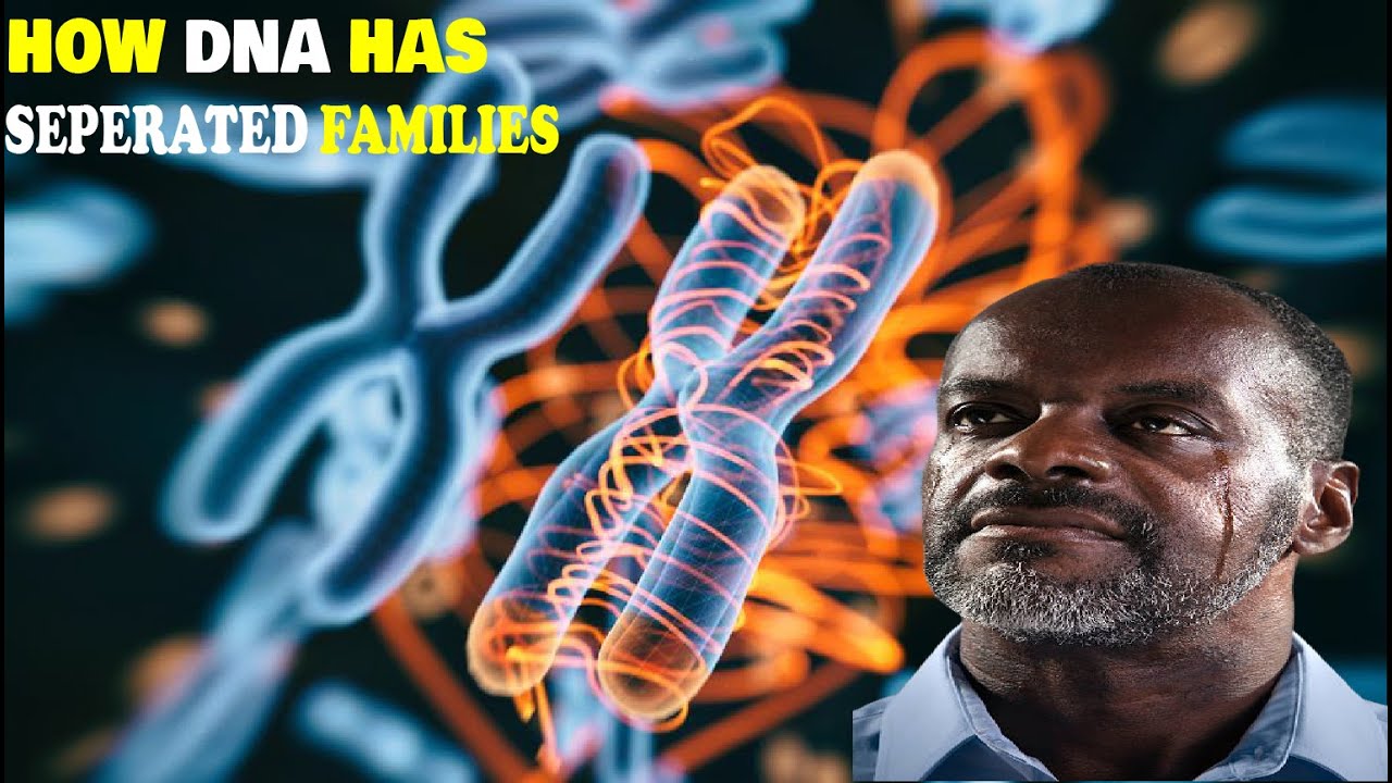 How DNA is measured and the way its MATCHED or SEQUEMCED🤦‍♂️ - YouTube