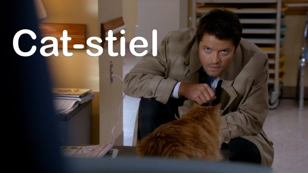 Castiel and Cats | Supernatural Crack Edit - YouTube