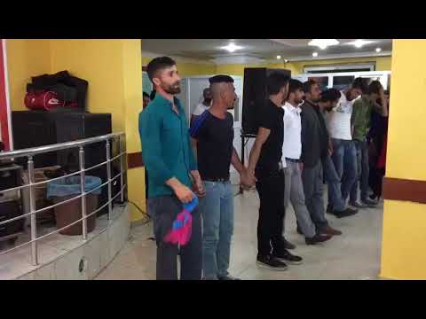 işte halaylar efendisi tağilka gencliği ve ben memo siyahli