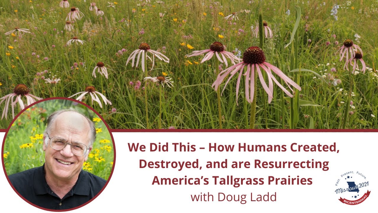 Webinar: How Humans Created, Destroyed, & are Resurrecting America’s ...