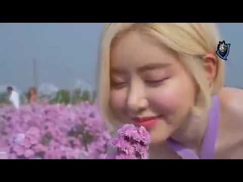 Dj Soda Remix 2021 Edm Rx Best Alan Walker Dance Remix Music - YouTube