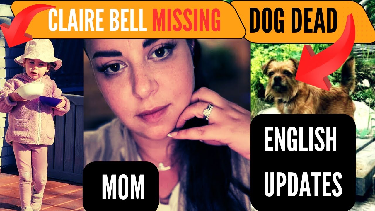 English Update: CLAIRE BELL'S DOG FOUND DECEASED, 3-year-old girl’s mom ...