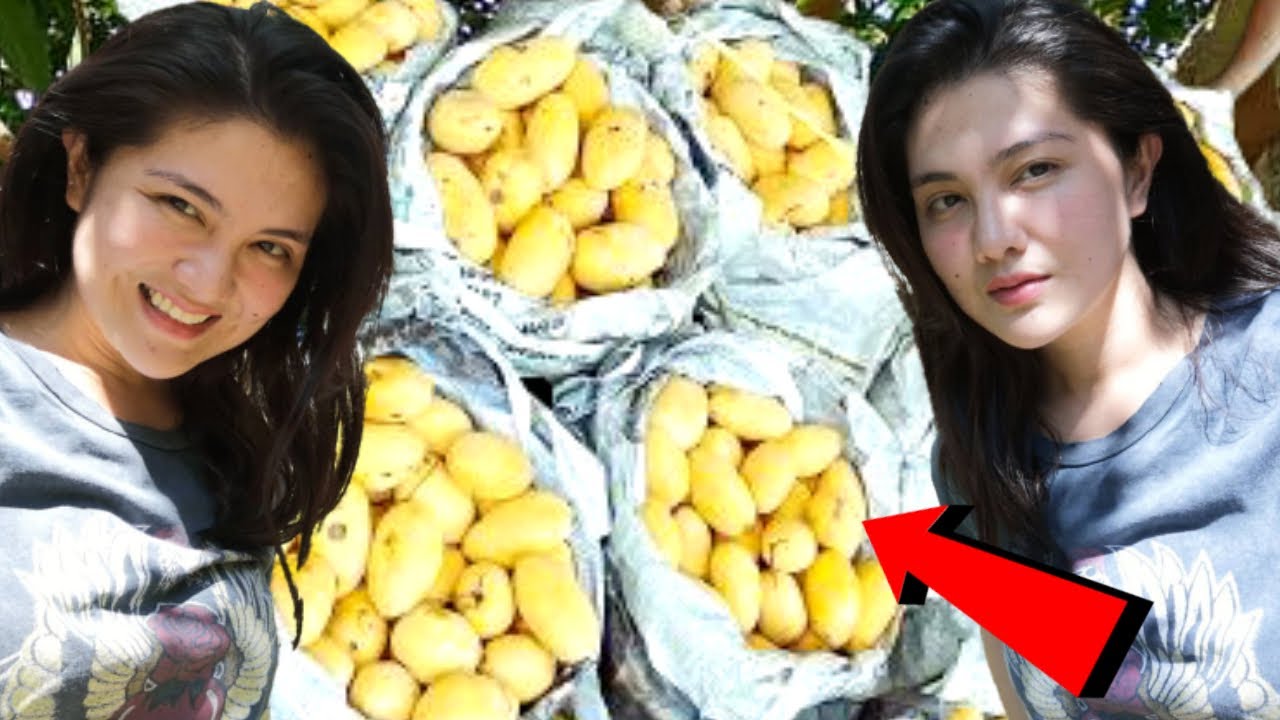 WOW! DIMPLES Romana IPINASILIP ang MALAWAK na FARM sa BATANGAS - YouTube