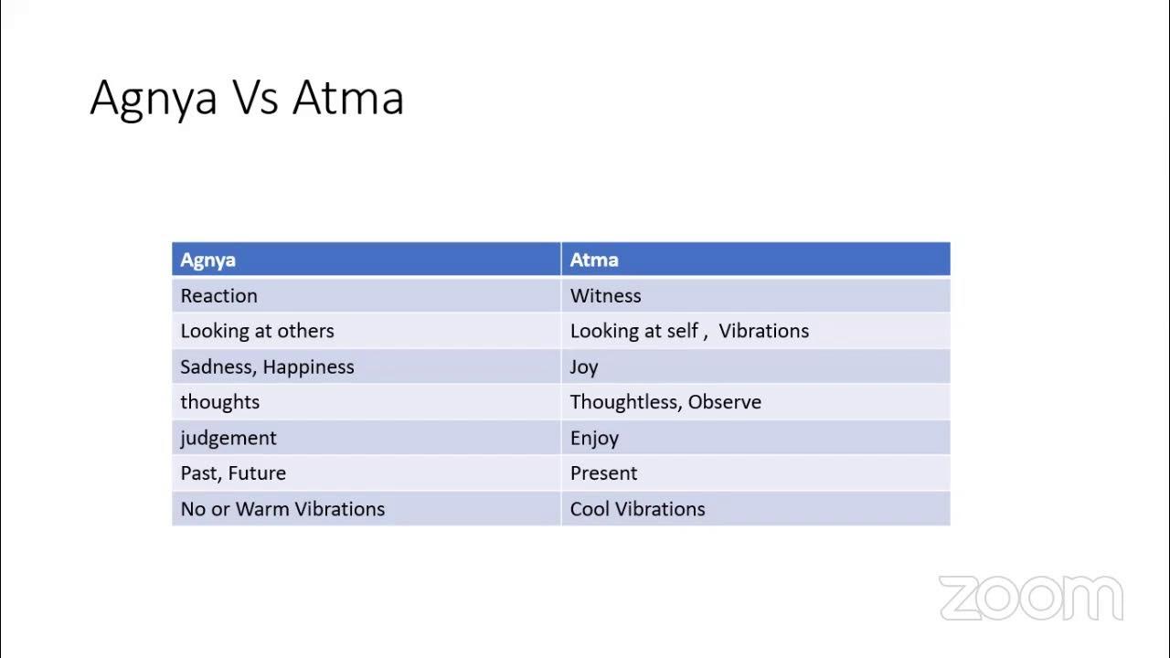 Virat Daily Meditation - 14 Aug 2024 8:20am q&a - YouTube