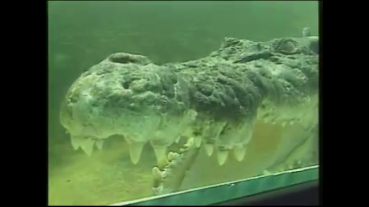 Gomek - A True Legend (LEGENDS - JUICE WRLD) - YouTube