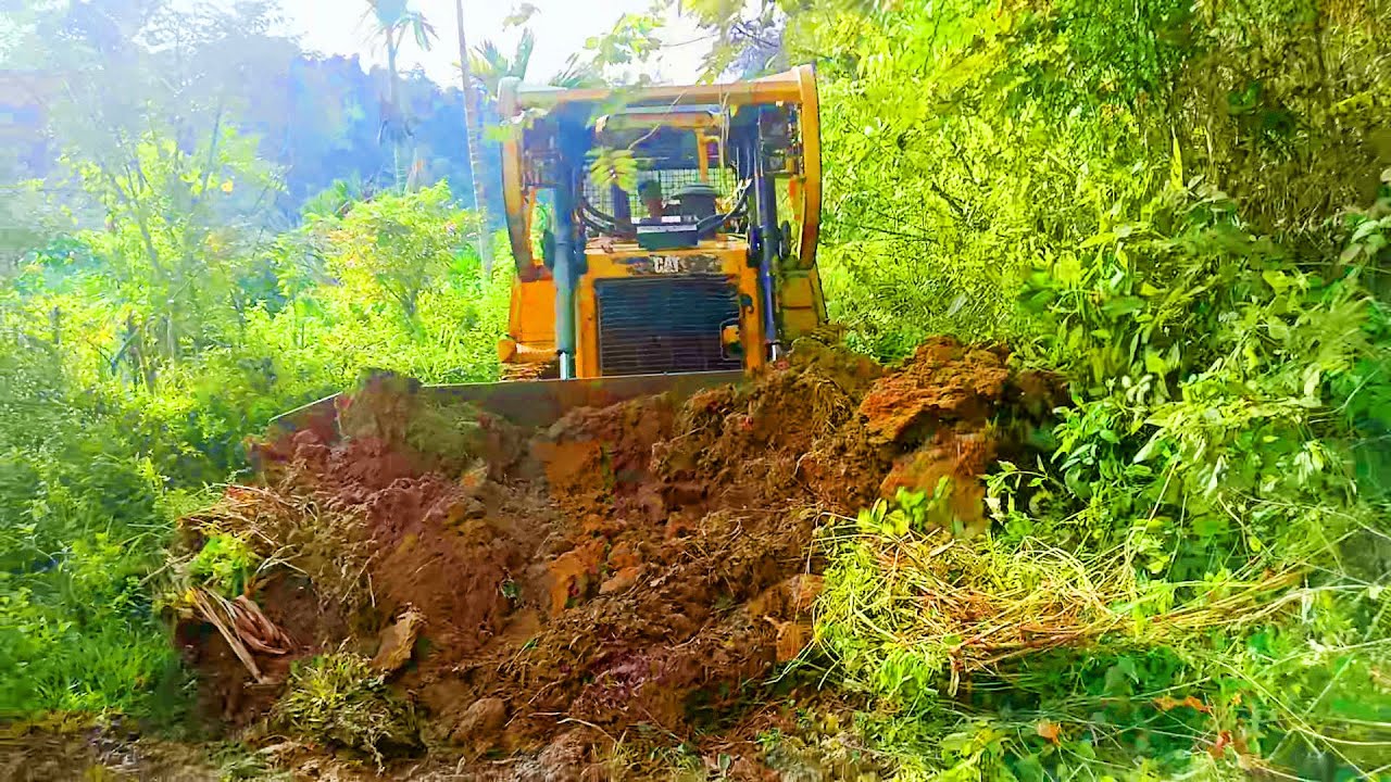 The Wonders of D6R XL Forest Engineering Create Roads Amid Dense ...
