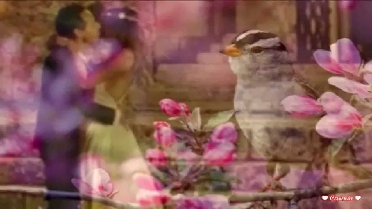 Flor Pálida _ Marc Anthony (Letra) - YouTube