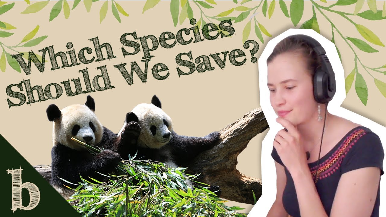 #39 Which Species Should We Save? | The Biome Podcast - YouTube Music