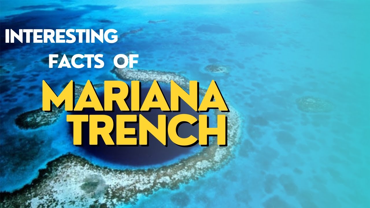 Unveiling the Mysteries of the Mariana Trench Journey into the Deep ...