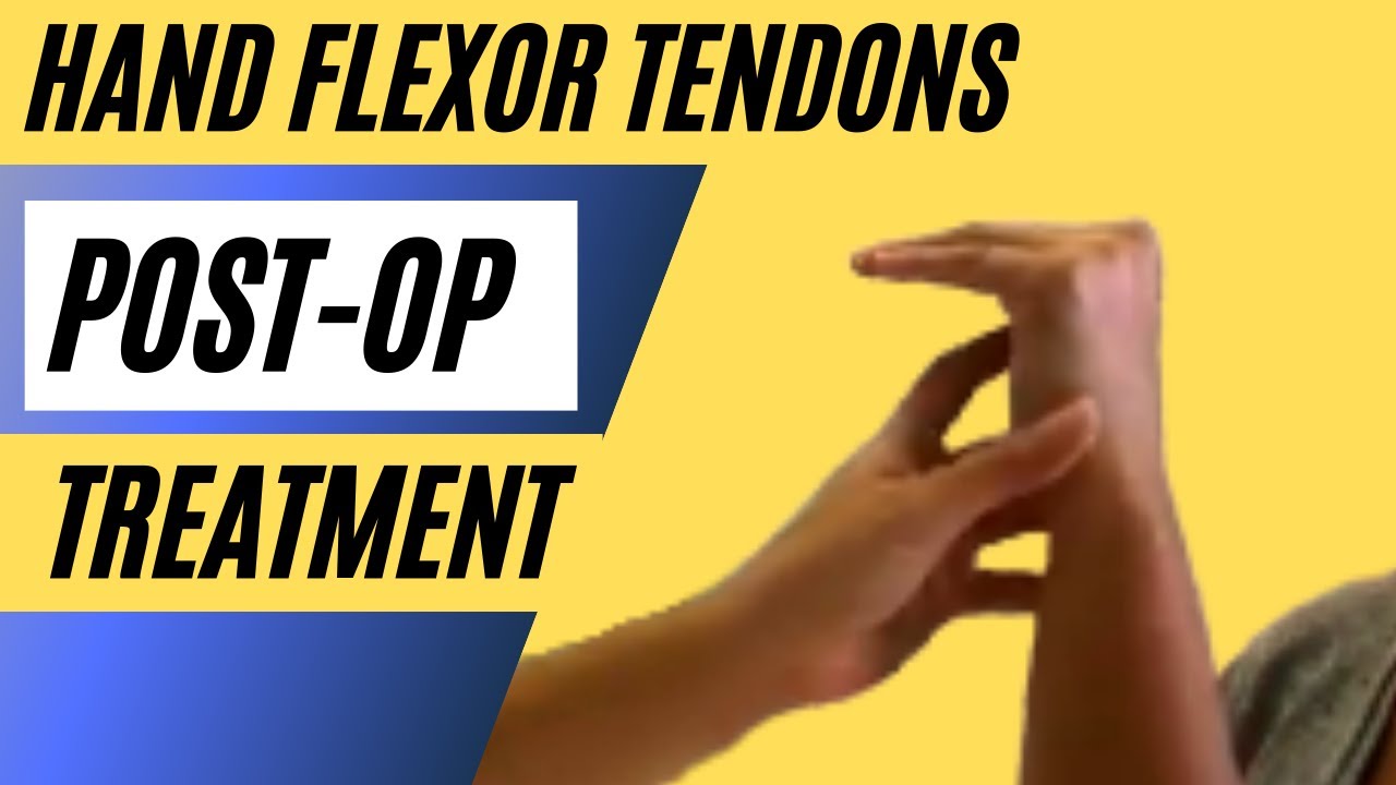 Treating Hand Flexor Tendons Post-OP | For OT's & Aspiring Certified ...