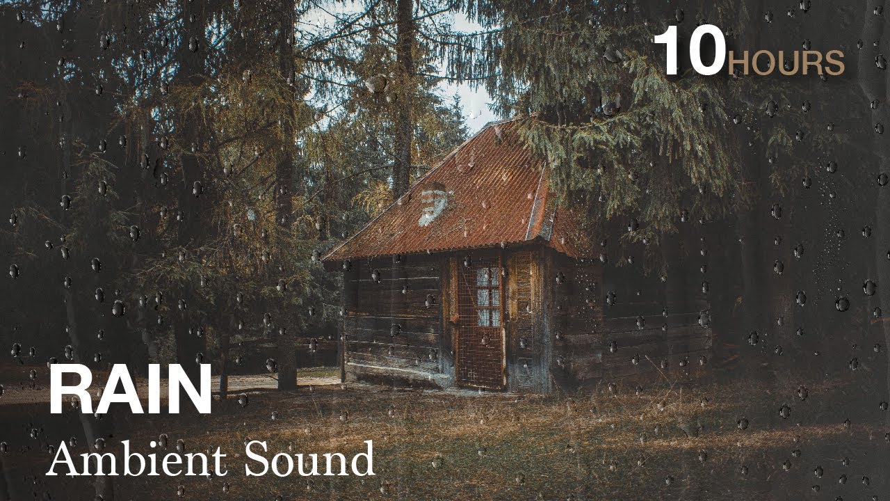 ☔️ Peaceful RAIN SOUNDS | Tranquil Rain Ambience to Relax To | Ambient ...