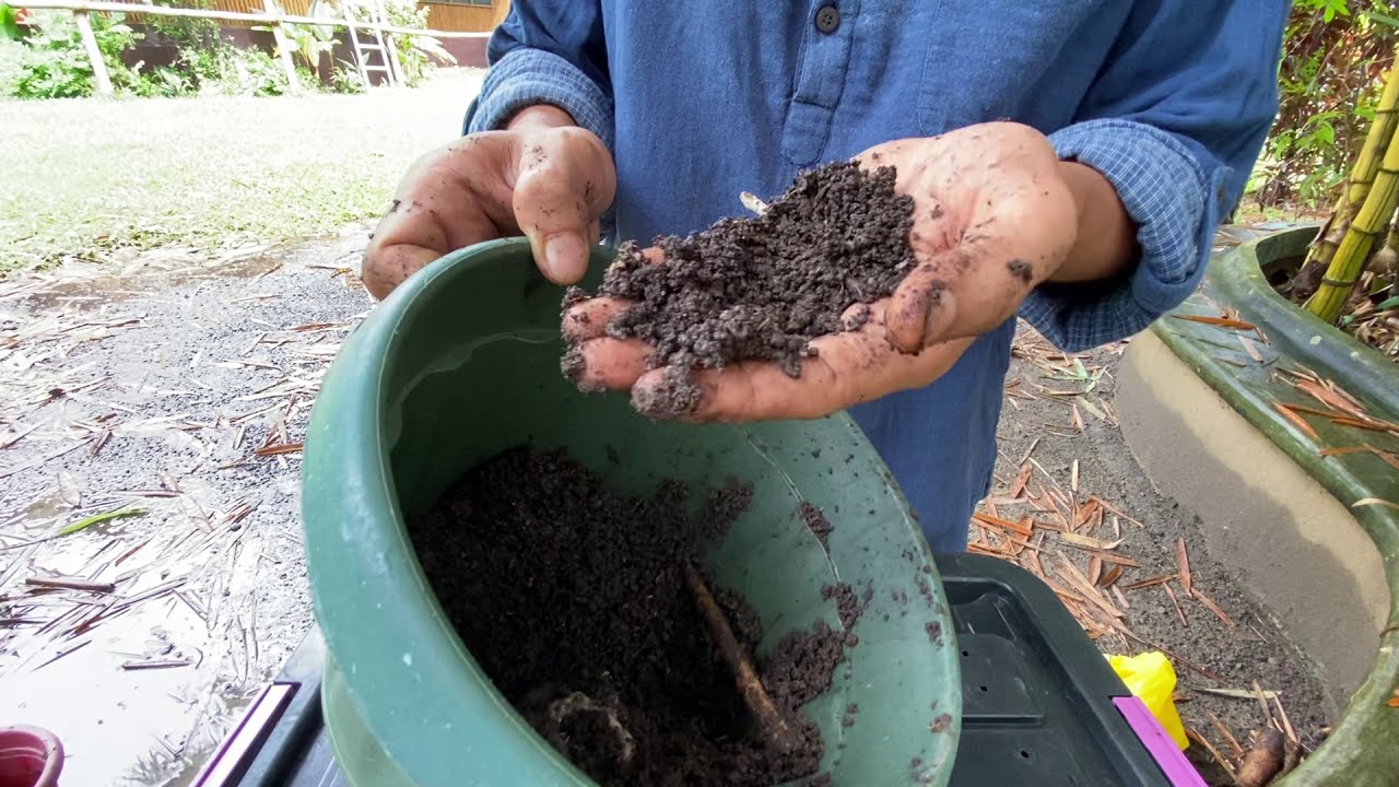 Home Vermicomposting Basics - YouTube