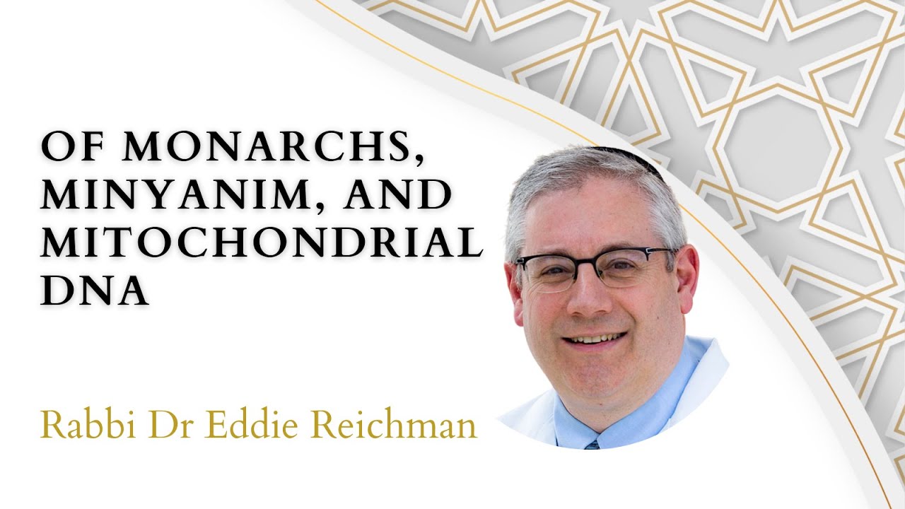 Of Monarchs, Minyanim, and Mitochondrial DNA - Rabbi Dr Eddie Reichman ...