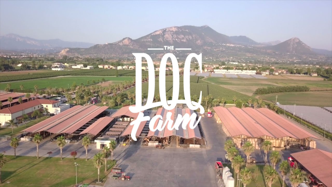 The Doc Farm - AZIENDA AGRICOLA BARLOTTI - INTRO - YouTube