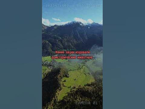 косо - YouTube