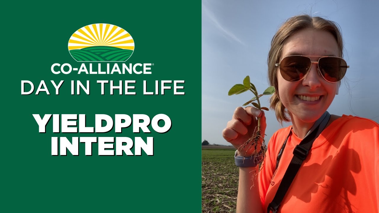 YieldPRO Intern | Day In The Life at Co-Alliance - YouTube