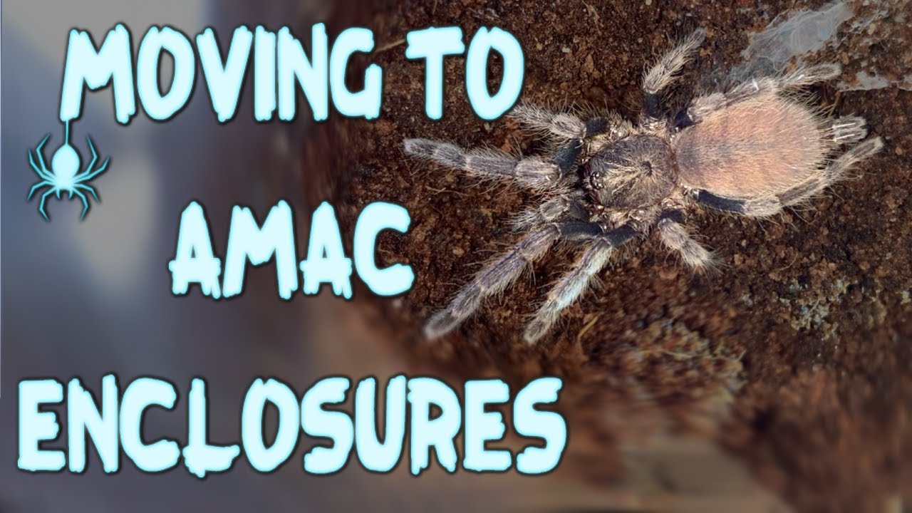 Moving to AMAC Enclosures! - YouTube