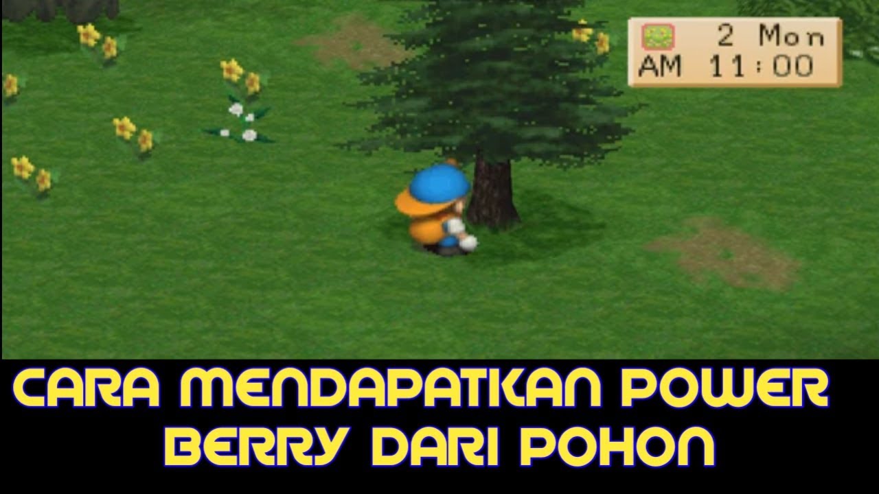 Cara Mendapatkan Power Berry Dari Pohon - Harvest Moon Back To Nature ...