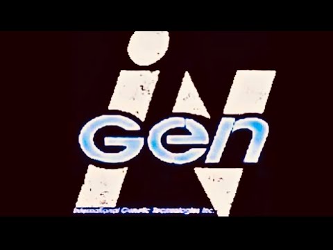 Animal handeling | Ingen training tapes - YouTube