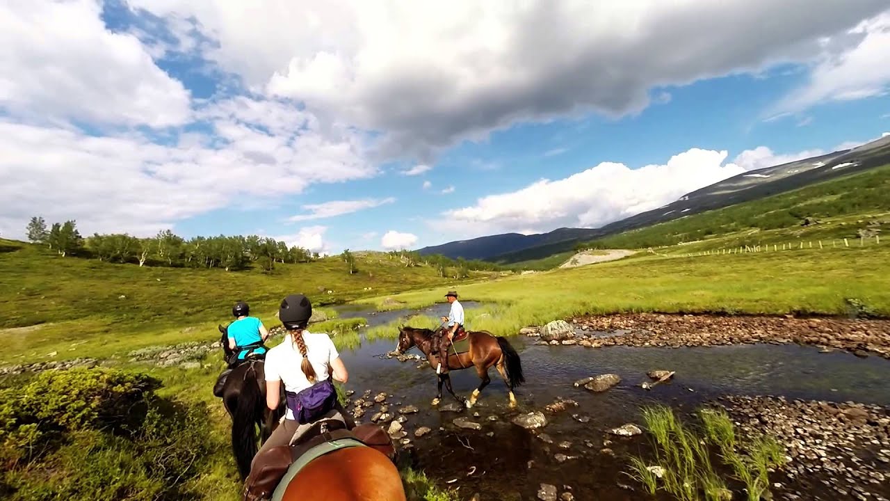 Horseback riding in the Norwegian mountains - Tuesday part2 - YouTube