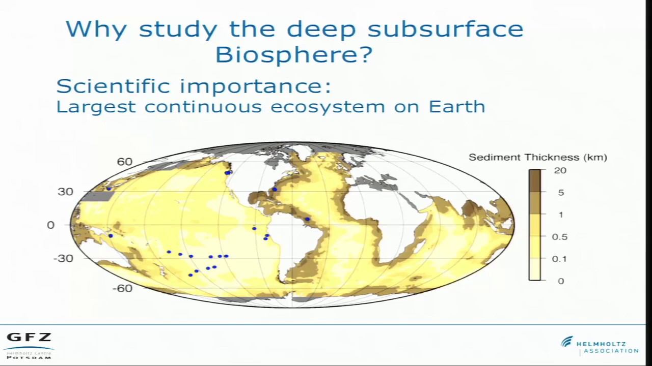 Life in the Subsurface the Geomicrobiology of the Deep Biosphere (Jens ...