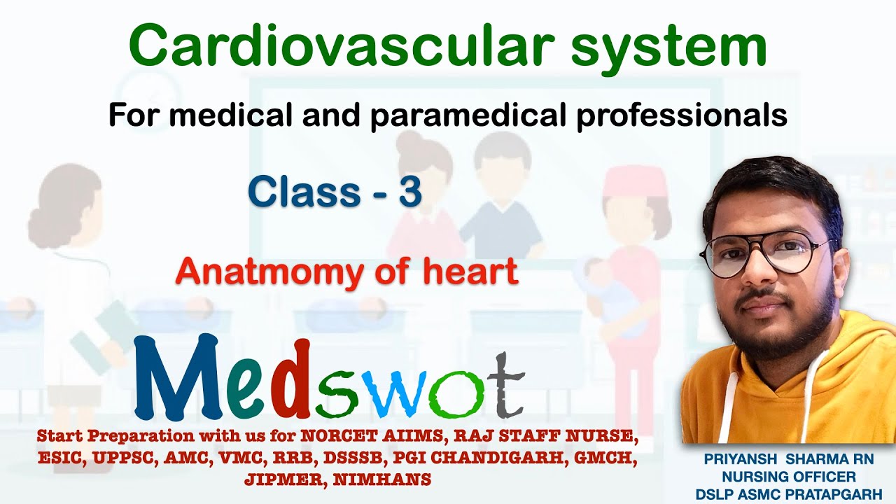 Cardiovascular system class - 3 - YouTube