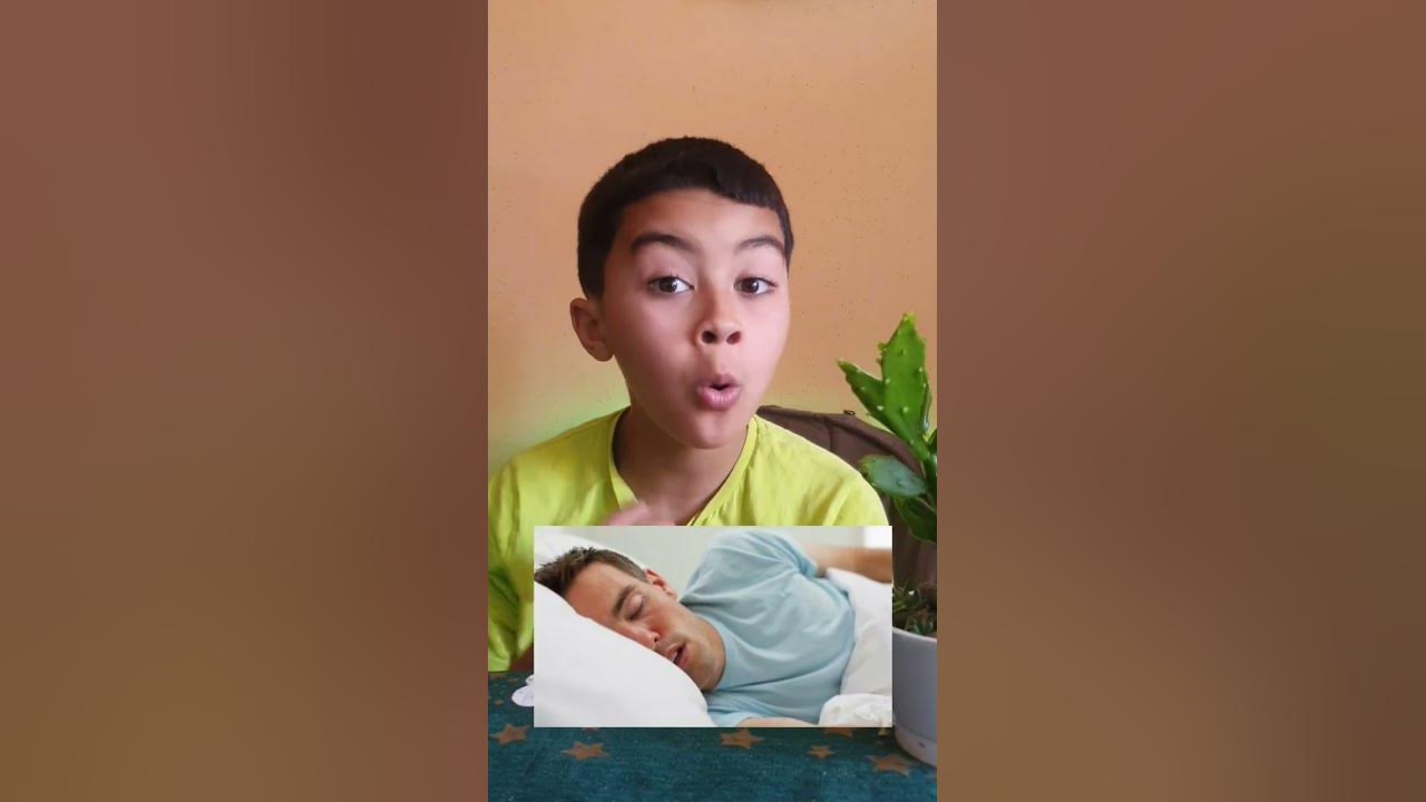 مراحل النوم 🤔 Youtube