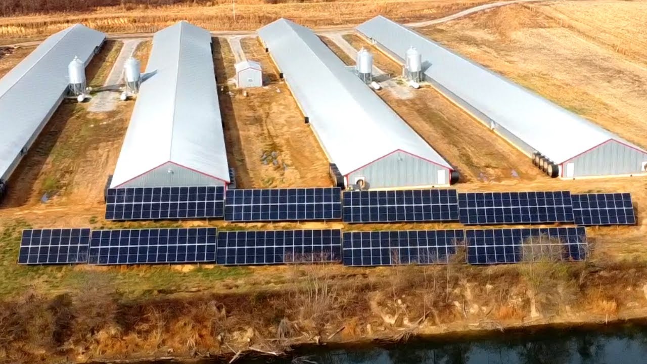 We Built Solar Pannels for our Chicken Houses!!! - YouTube