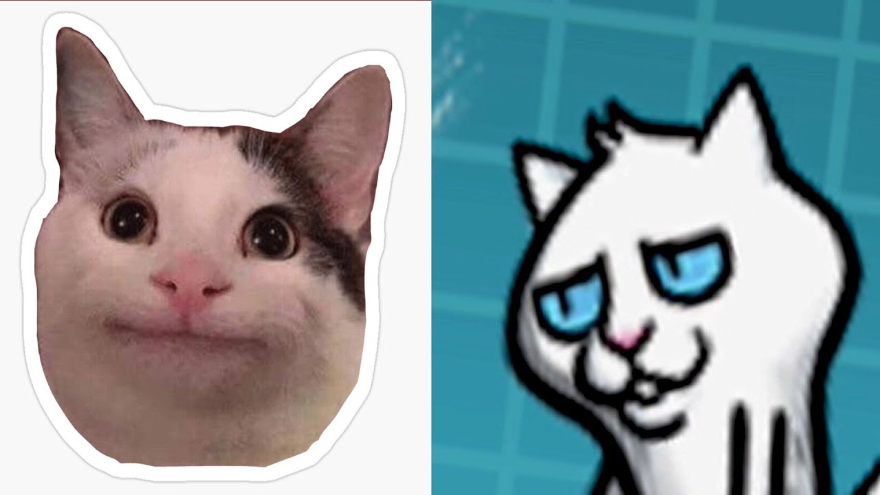 Beluga Cat?! - YouTube