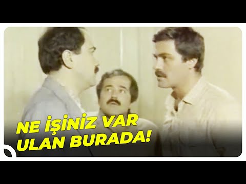 Kamil, Arkadaşları Cevahir'i Görünce Deliriyor | Kadir İnanır Müjde Ar Türk Filmi
