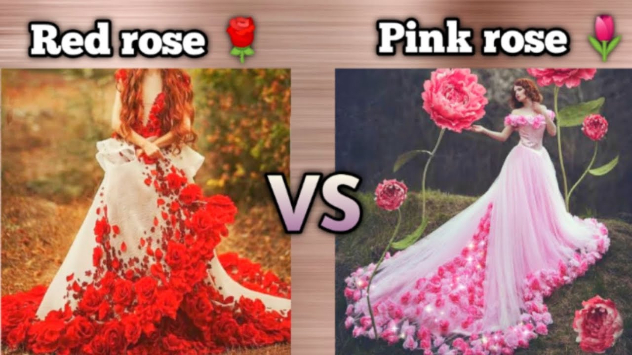 Red rose 🌹 Vs Pink rose 🌷|choose your side|Knowledge with me - YouTube