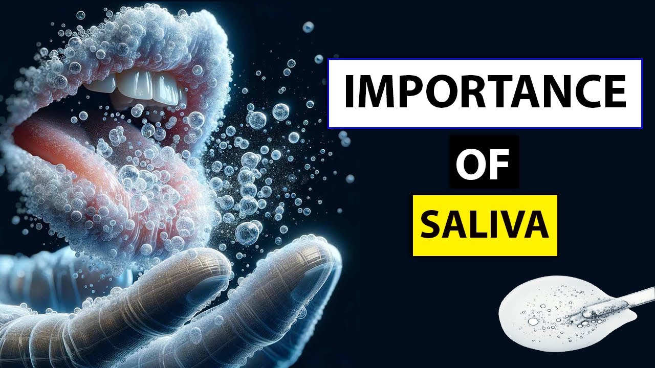 How Saliva Changes the Taste of Food | Importance of Saliva | Wellness ...