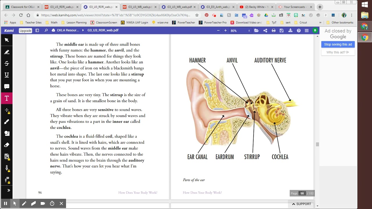 Unit 3 Ch. 9 Ears and Hearing - YouTube