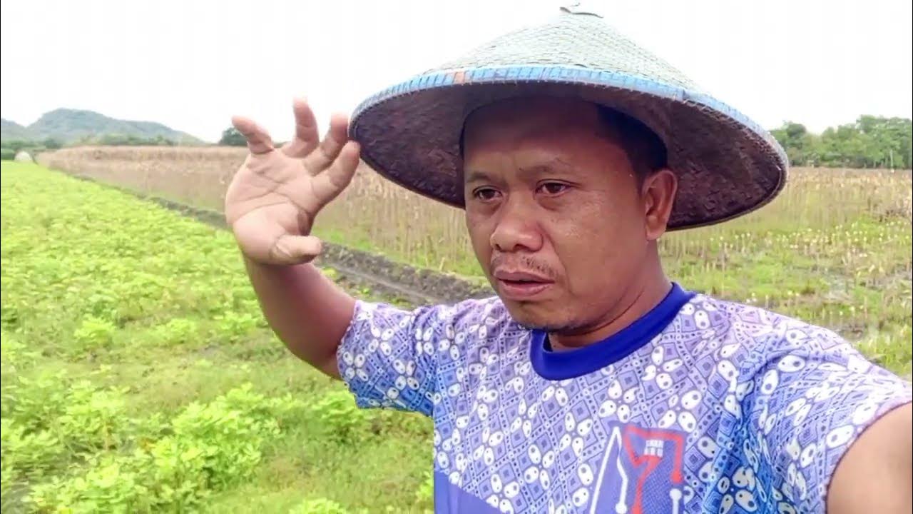 jalan jalan area persawahan yang lagi ditlaktor @EzZa90 @Budi Evan - YouTube