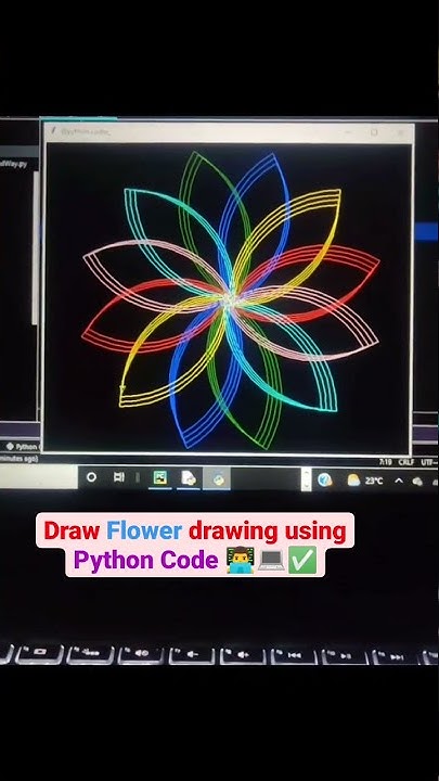 Draw Flower drawing using Python programming. - YouTube