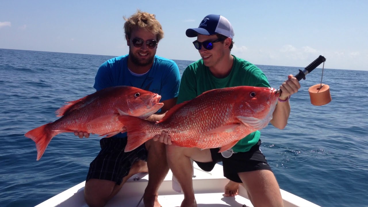 Atlantic Snapper Season 2014 - YouTube