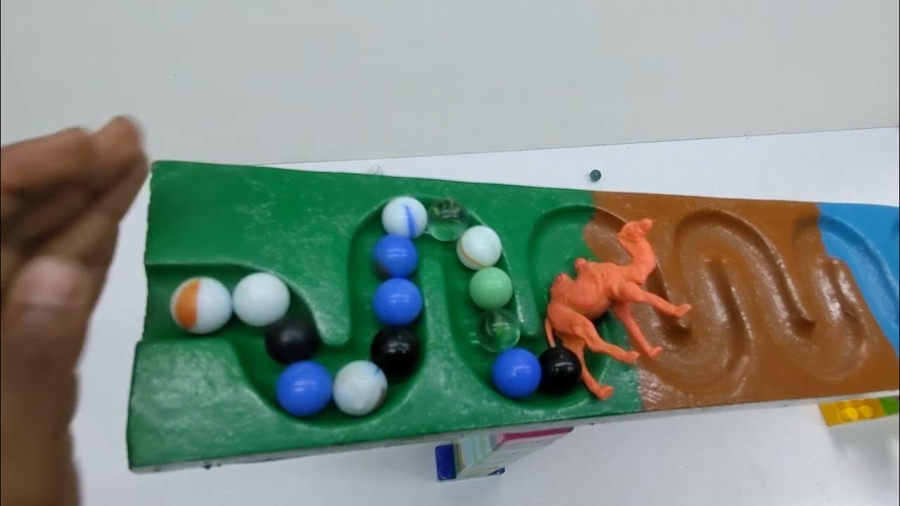 Marble Run Ranking Extravaganza ☆ DIY Slopes & Rainbow Marble Challenge ...