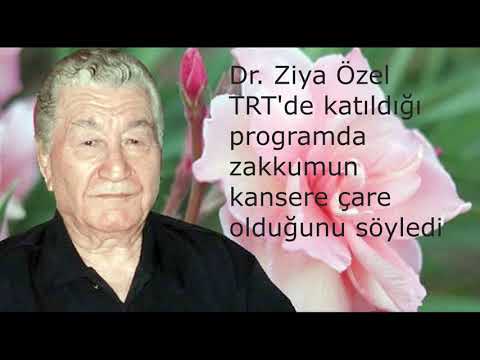 Hatırlanacak Bir Yıl 1988