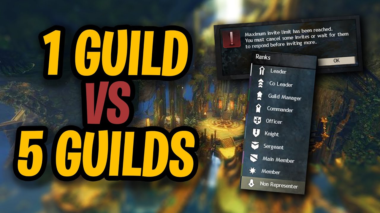 Multiple Guilds or One Guild? Which is better - YouTube