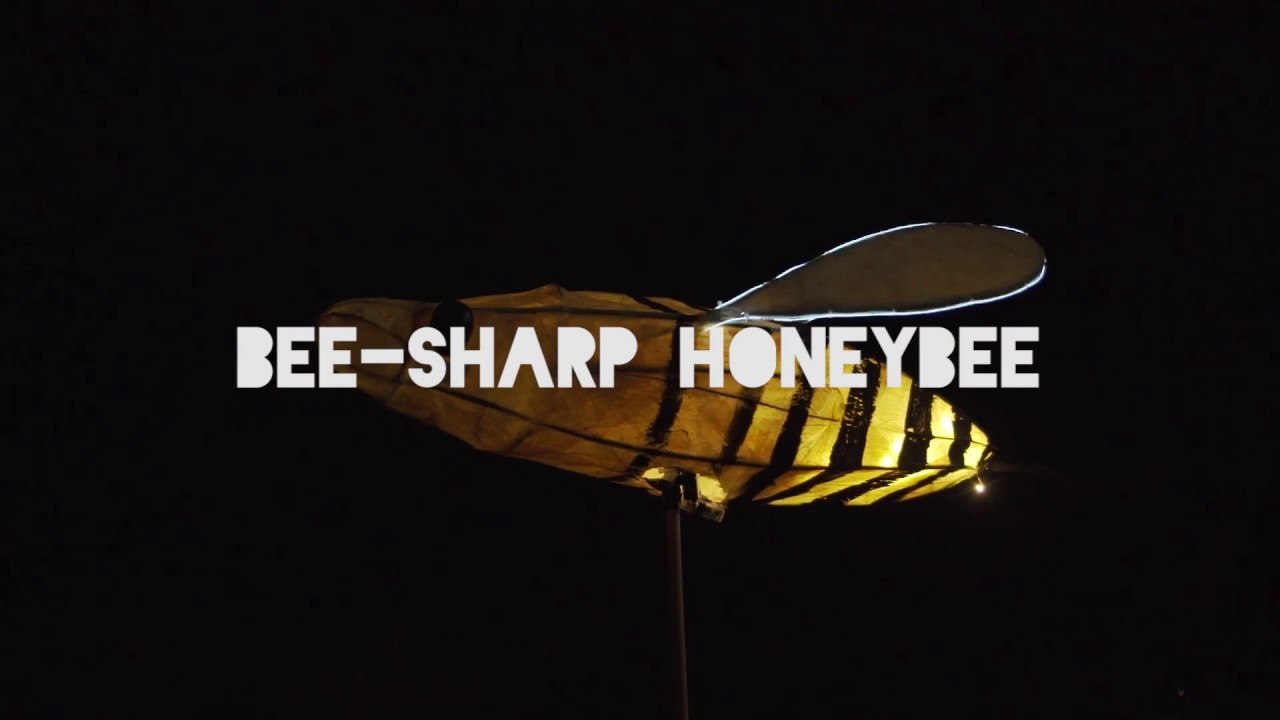 Bee-Sharp Honeybee Music Project: for String Orchestra, Animations and Live Honeybees (Trailer ...