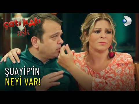 Şuayip'e Ne Oldu? - Çatı Katı Aşk 3.Bölüm