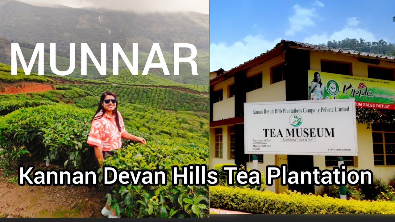 What’s Inside Munnar’s Iconic Tea Museum?🌿 | A Journey Through Time ...