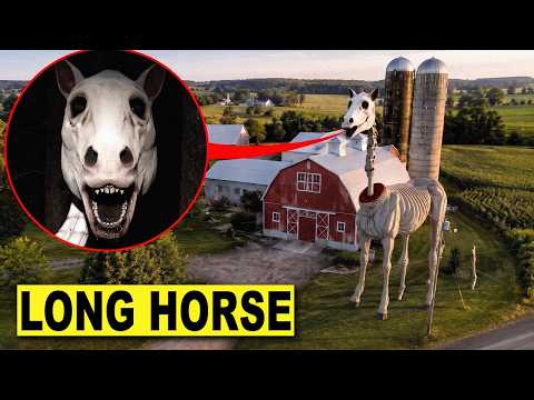 LONG HORSE ÇİFTLİKTE DRONE KAMERALARINA YAKALANDI !! (BİRİNİ YEDİ) *GERÇEK HAYATTA*