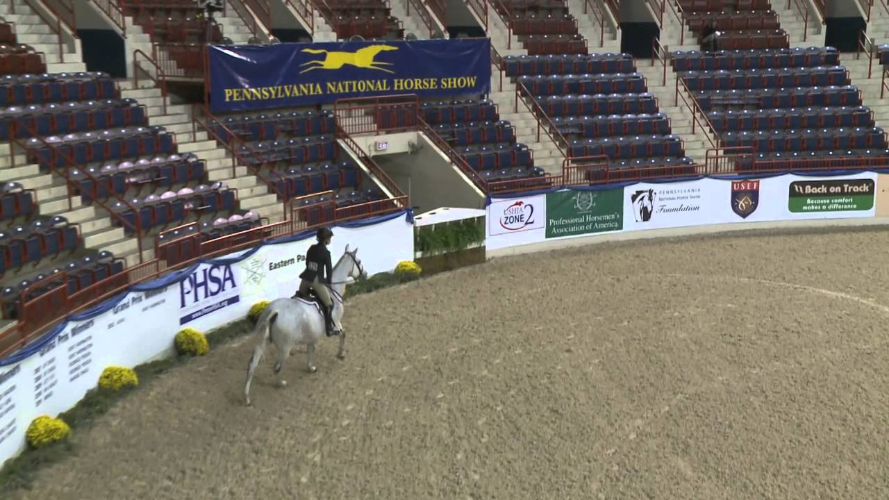 125 CRESPO Sarah Brandow, Class 33 Junior Hunter Over Fences - YouTube